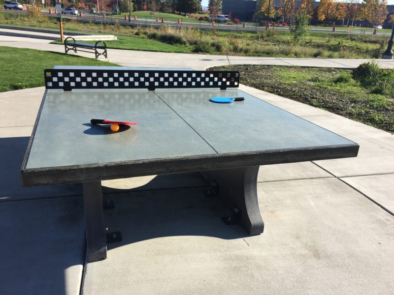 concrete ping pong table 23 - Best Outdoor Ping Pong Tables