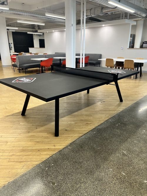 Victors custom ping pong table - RS - Best Outdoor Ping Pong Tables